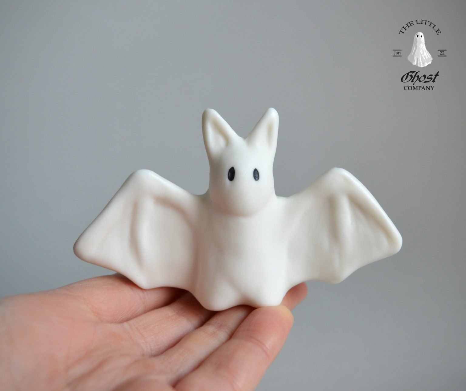 The Little Ghost Company - Exclusive Q&A